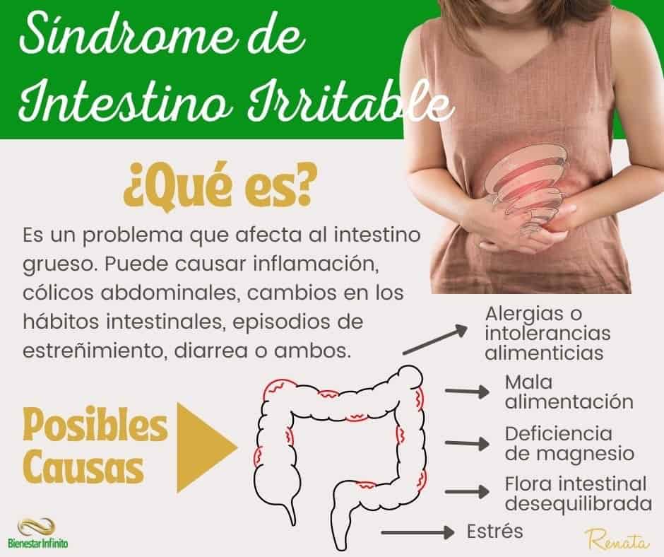 S ndrome De Intestino Irritable Bienestar Infinito S ndrome De Intestino Irritable Bienestar Infinito